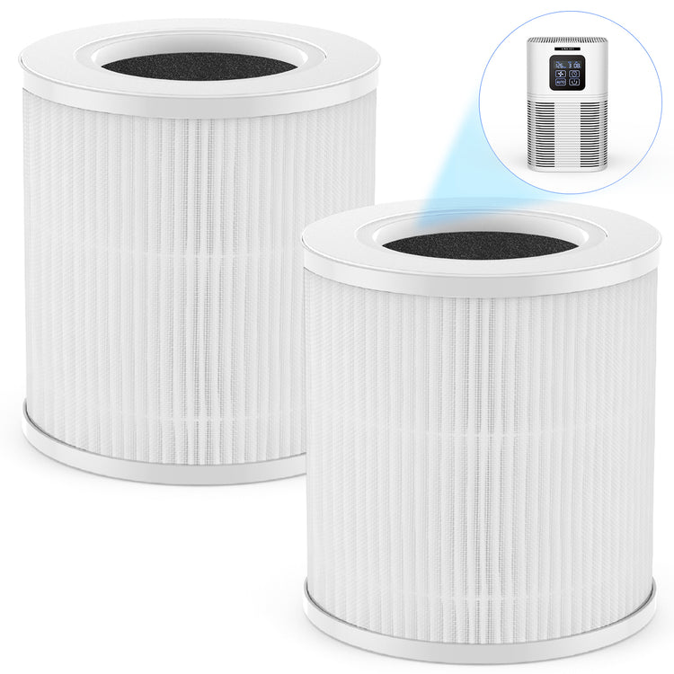 AMEIFU AP01 Air Purifier Replacement Filter, Air Cleaner Filter True H ...