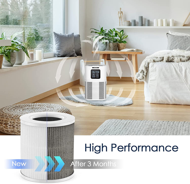 AMEIFU AP01 Air Purifier Replacement Filter, Air Cleaner Filter True H ...